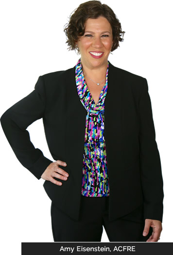 About Amy Eisenstein, ACFRE | Nonprofit Consultant